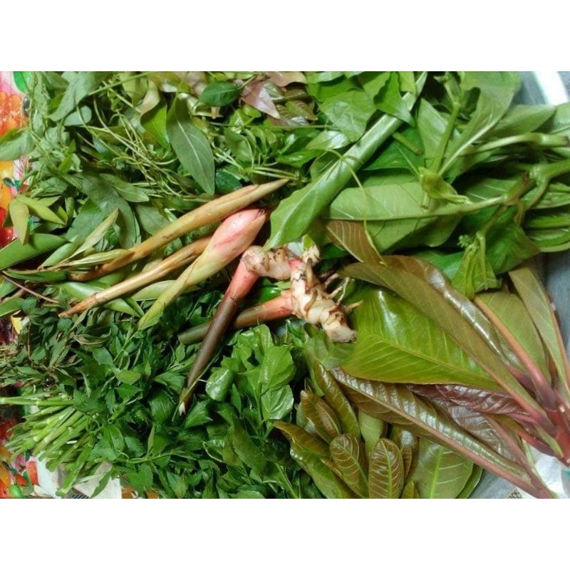 Pelbagai jenis sayur ulam- ulaman kampung 1 ikat | Shopee Malaysia