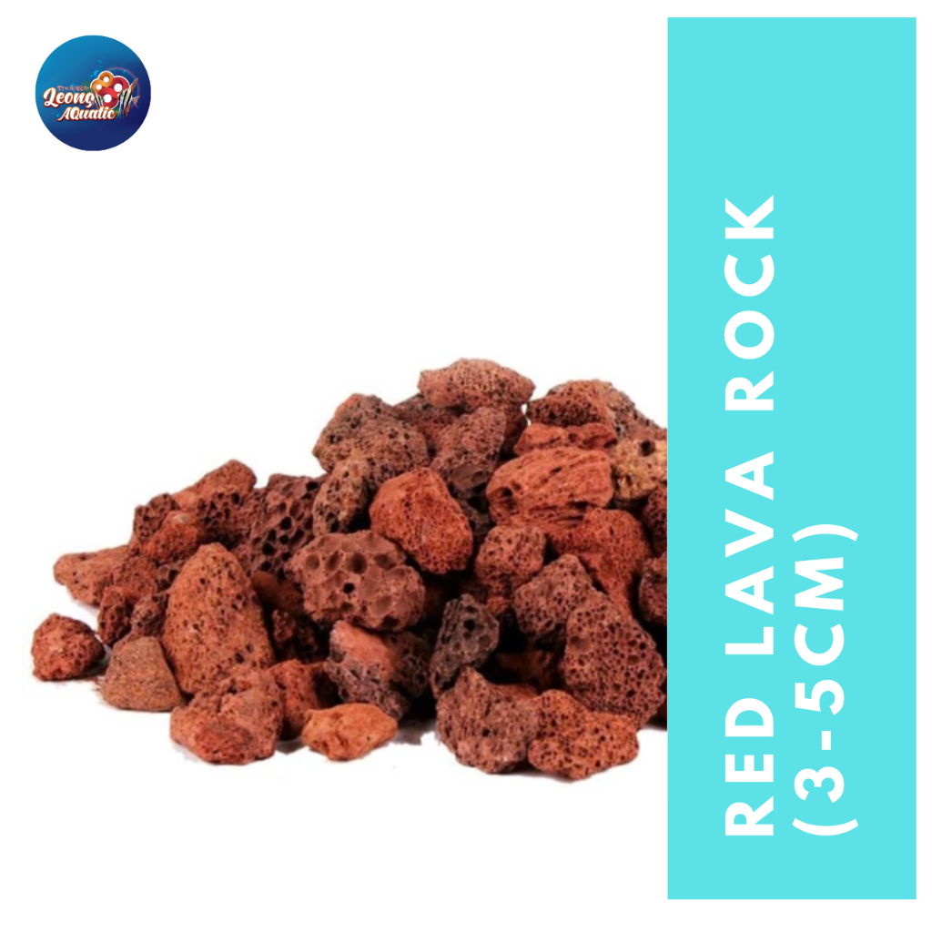 Red Lava Rock Stone (3CM-5CM+-) | Shopee Malaysia