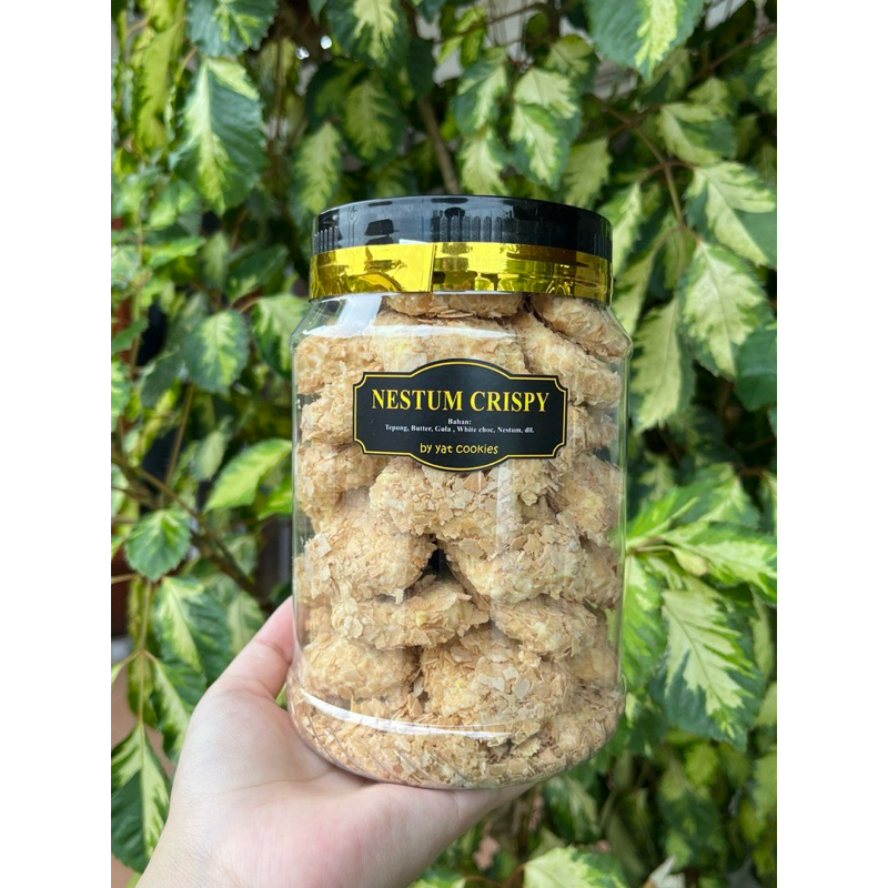 KUIH RAYA Nestum Crispy 🤍 | Shopee Malaysia