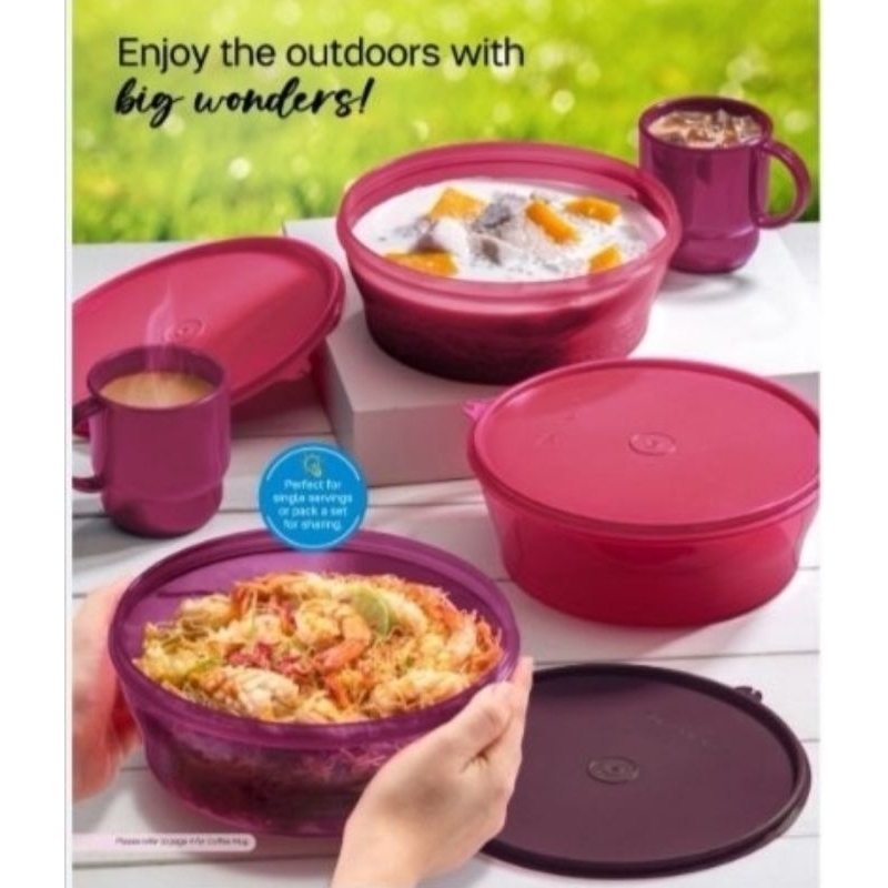 Tupperware Big Wonders 1.4L | Shopee Malaysia