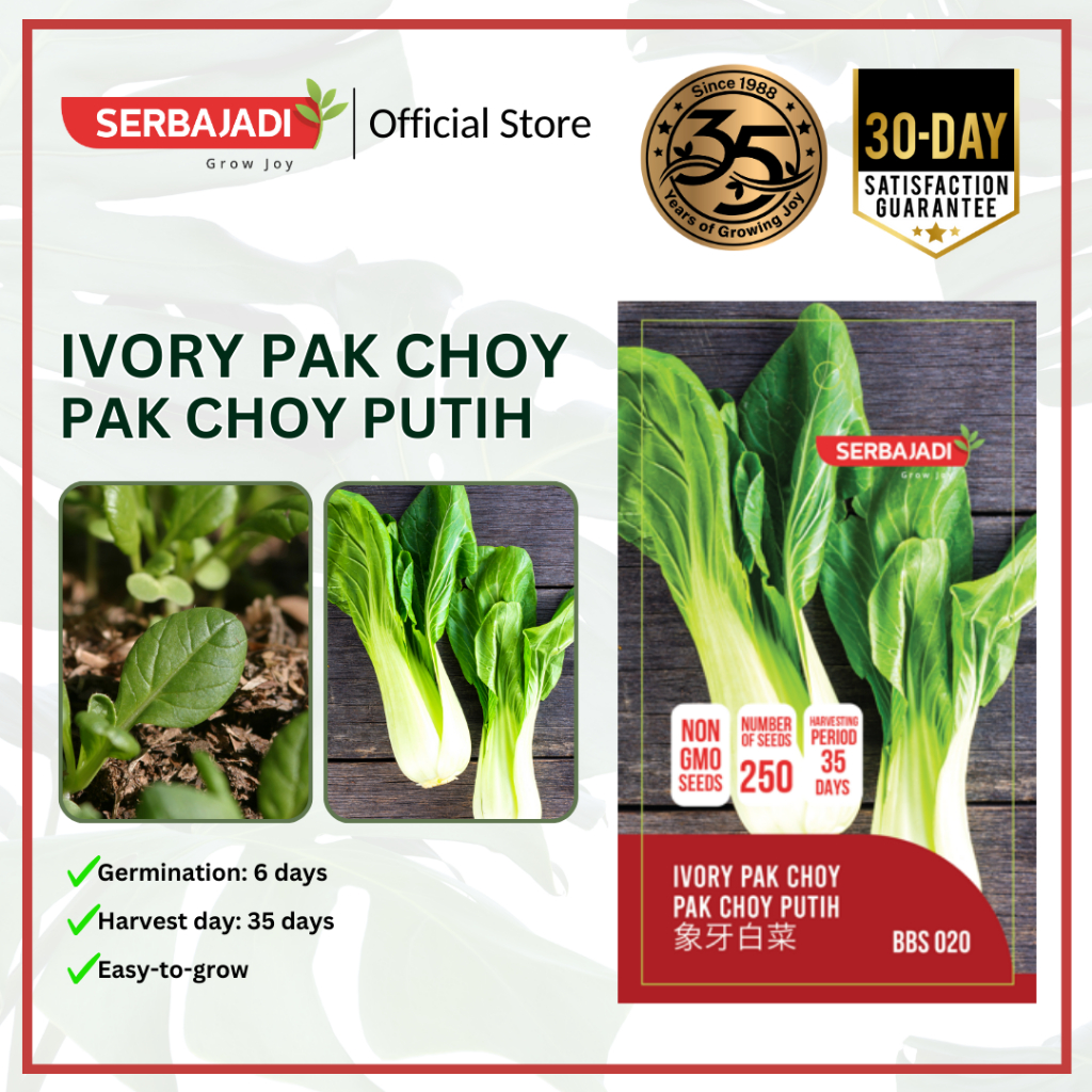 Serbajadi Vegetable Seed Ivory Pak Choy/ Biji Benih Sayur Pak Choy ...