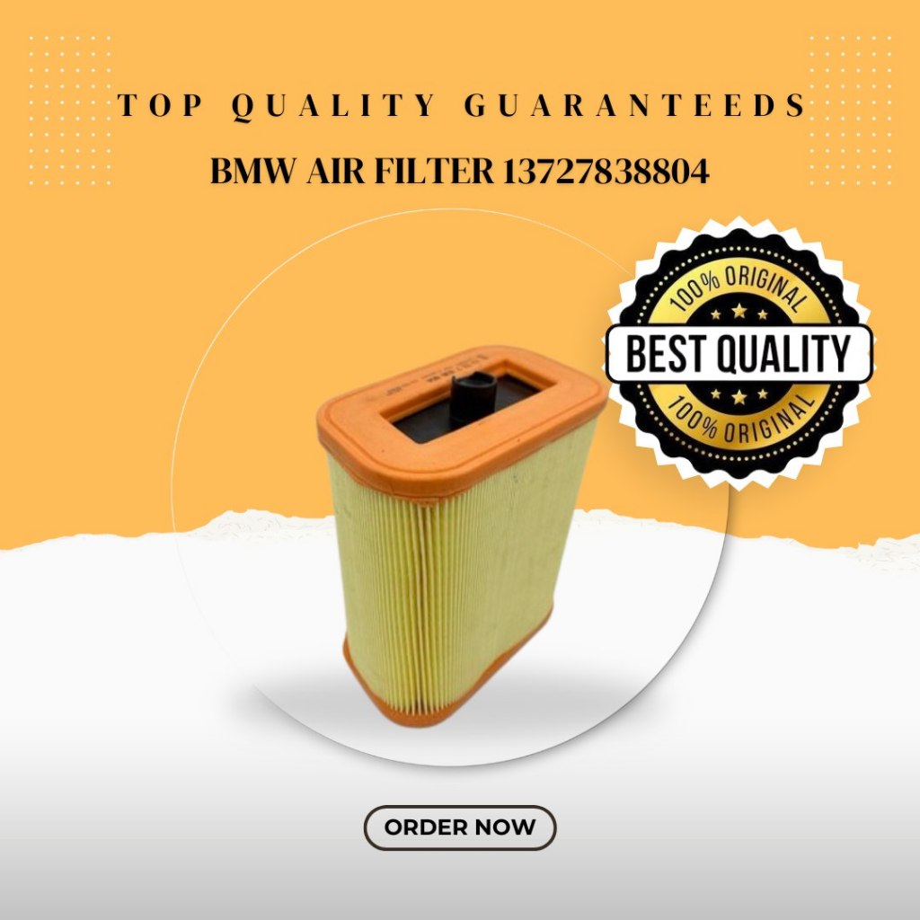 Genuine BMW Air Filter - Part Number 13727838804 - Compatible with BMW ...