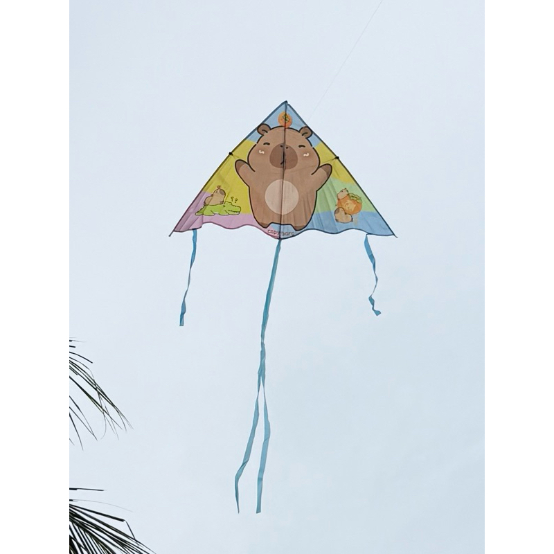 Capybara Kites free 30m kite line | Shopee Malaysia