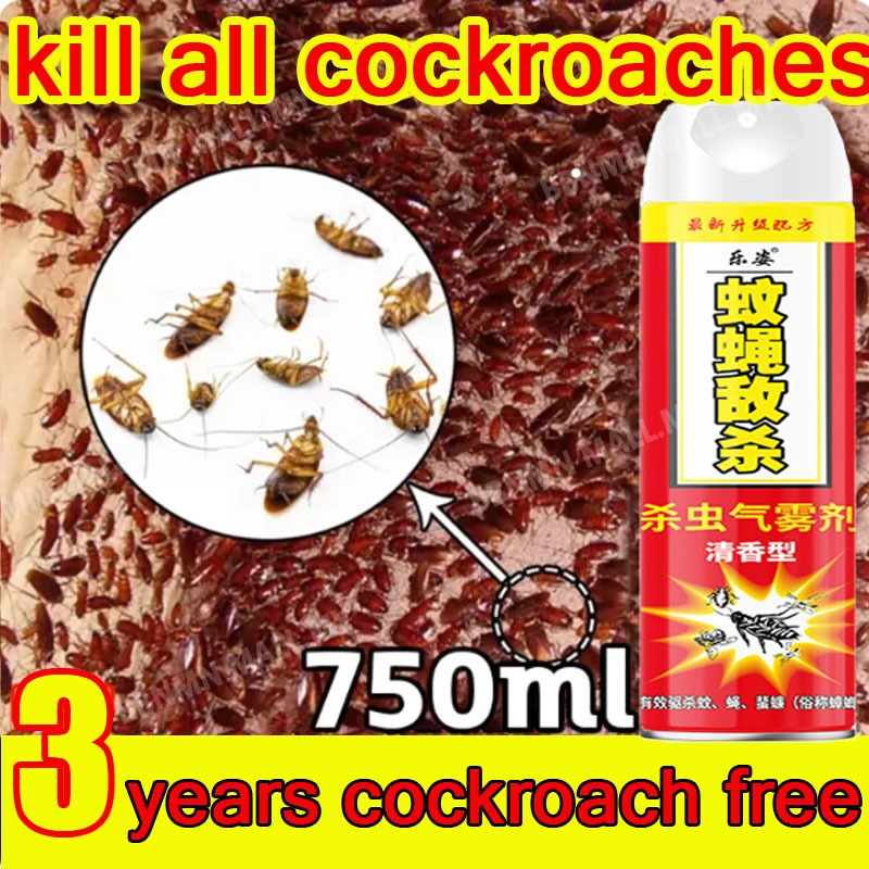 insect repellent spray lipas cockroach killer cockroach repellent Ubat ...