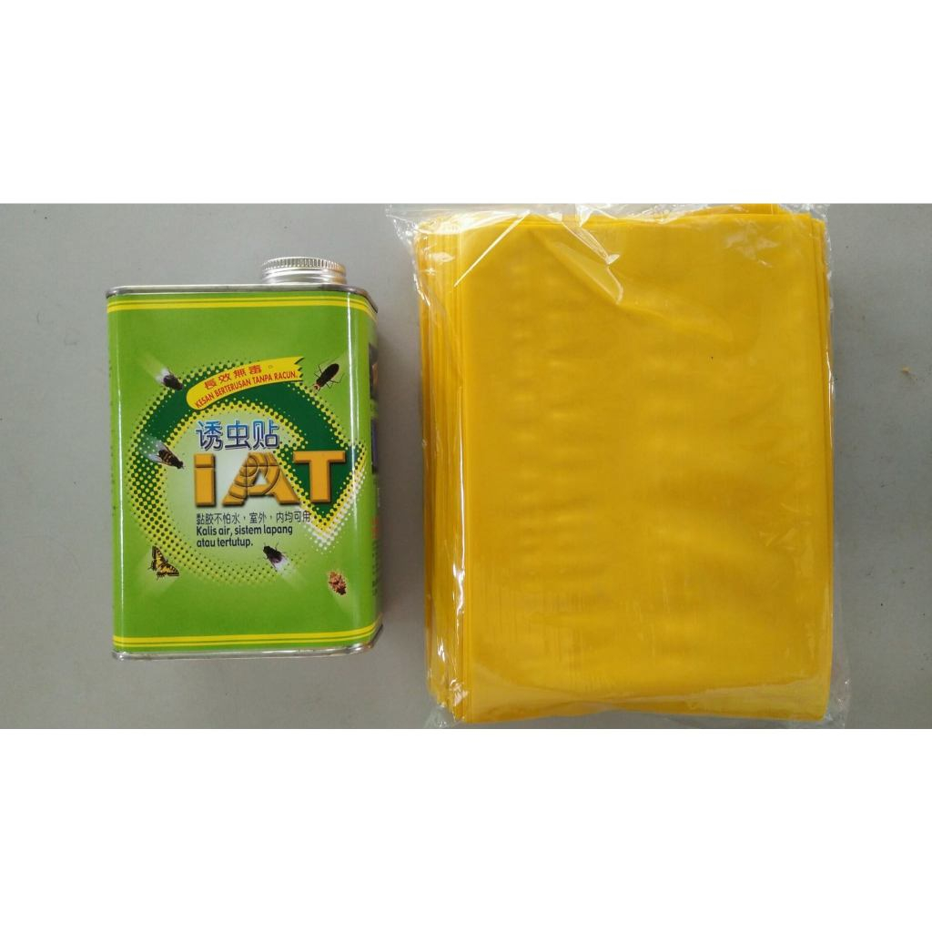 1 SET Perangkap serangga perosak tanaman ( gam dan plastik kuning ...