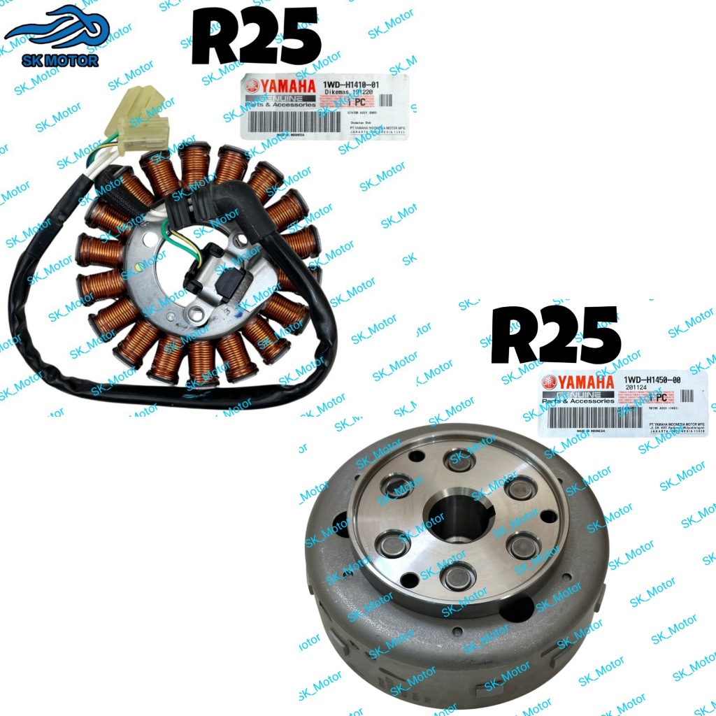 Yamaha YZF-R25 R25 Original Stator Assy Fuel Coil / Rotor Assy Magnet ...