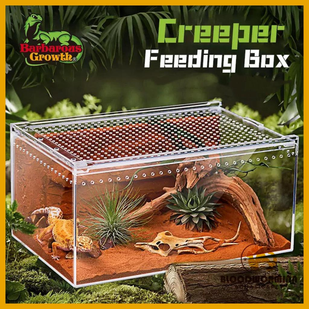 Reptile Breeding Box Acrylic Display Box Reptile Terrarium Reptile ...
