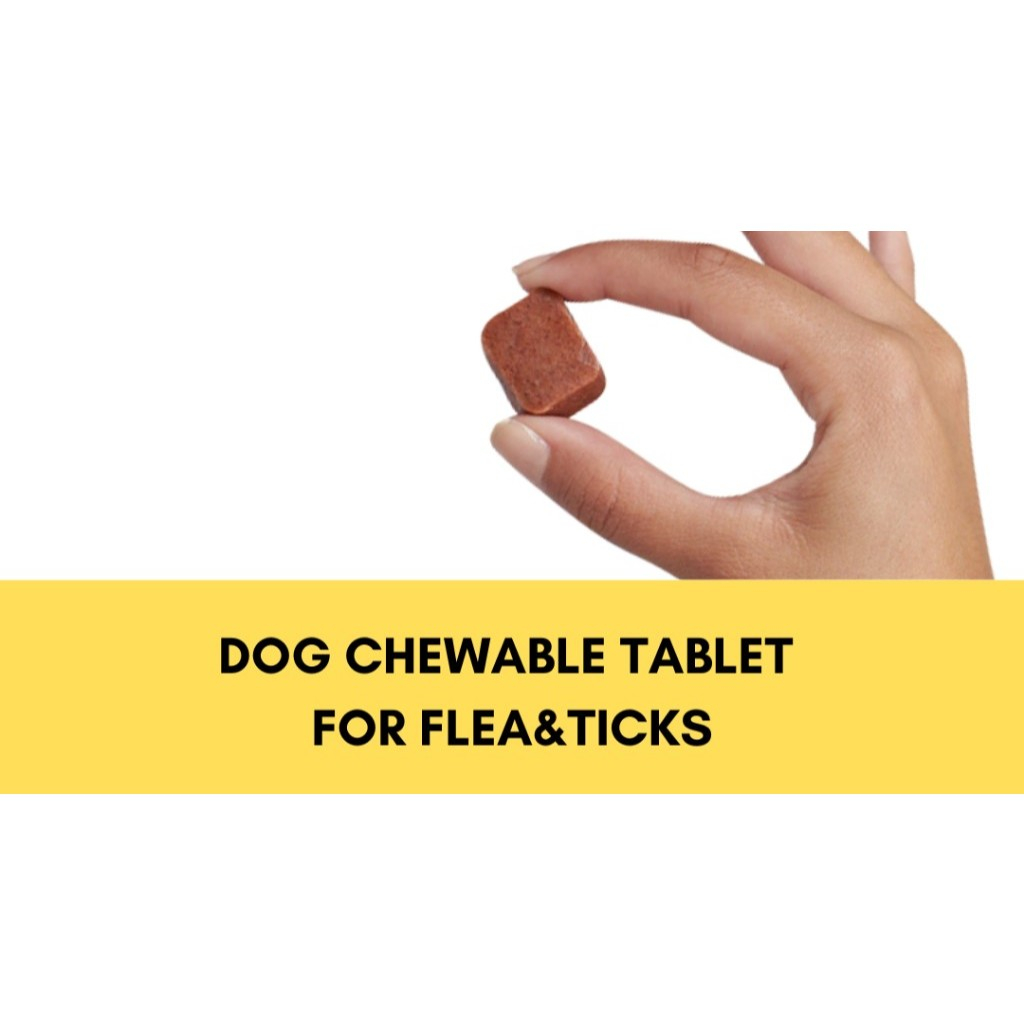Chewable tablet for dog - S/M/L/XL @ 1 Pc/1 Biji | Shopee Malaysia
