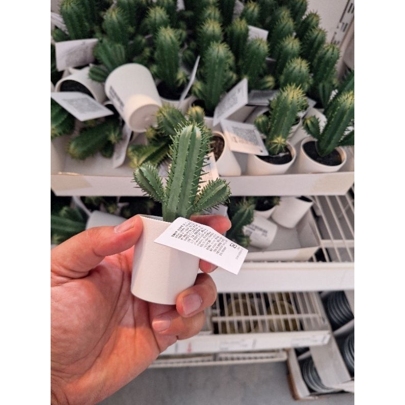 IKEA Fejka Cactus Plant / Artificial Cactus | Shopee Malaysia