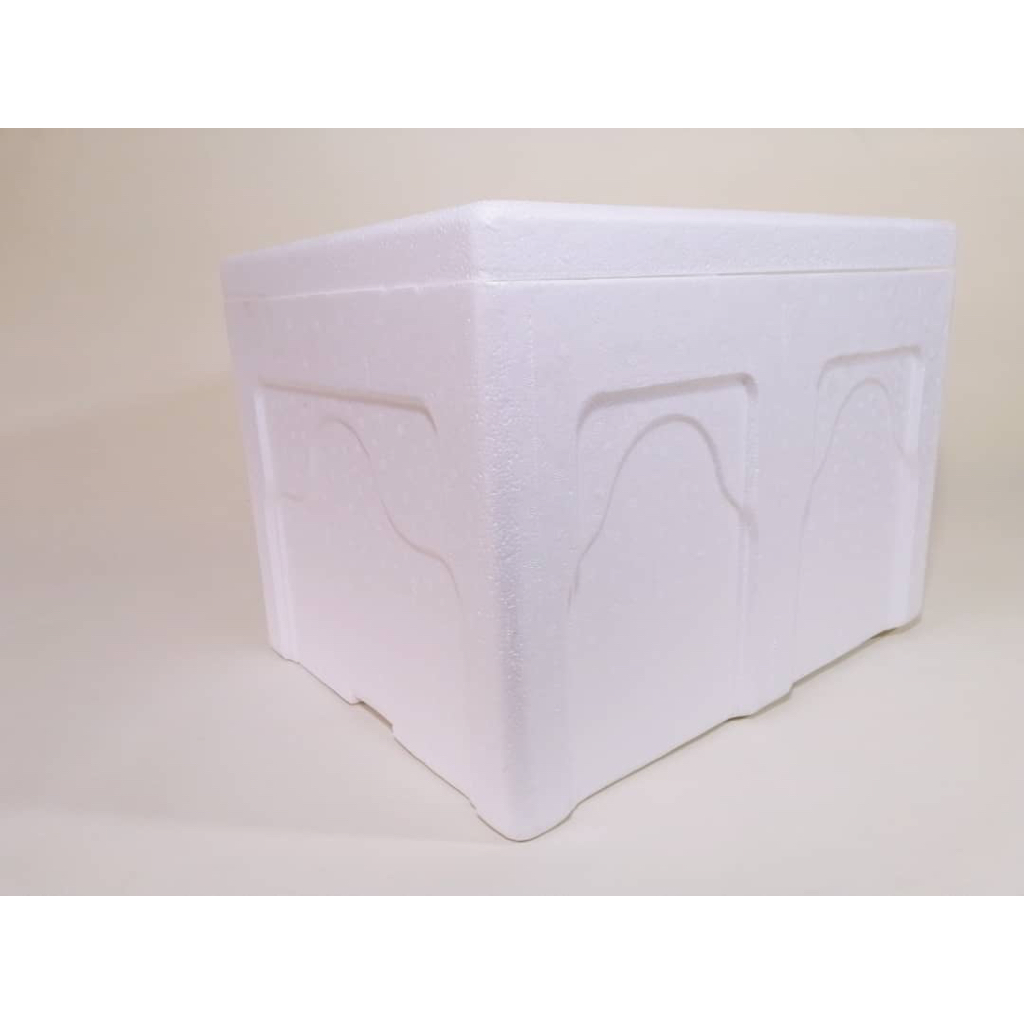 Ice Box Polystyrene Kotak Penyimpanan Camping Hiking | Shopee Malaysia