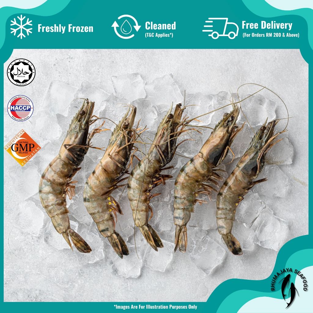 Tiger Prawn (With Shell) | Rhumajaya Seafood (RMJ) | Shopee Malaysia