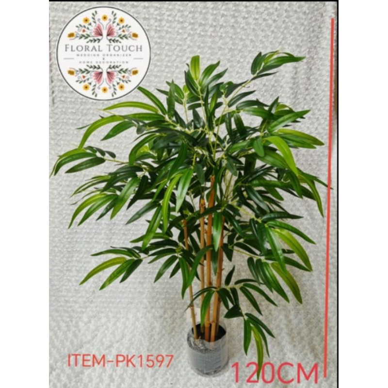 BAMBOO TREE // POKOK BUNGA KERTAS | Shopee Malaysia
