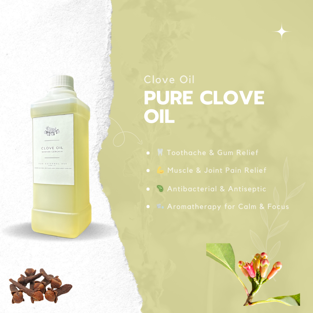 Clove Oil – Minyak Cengkih – Natural Oil for Toothache, Pain Relief ...