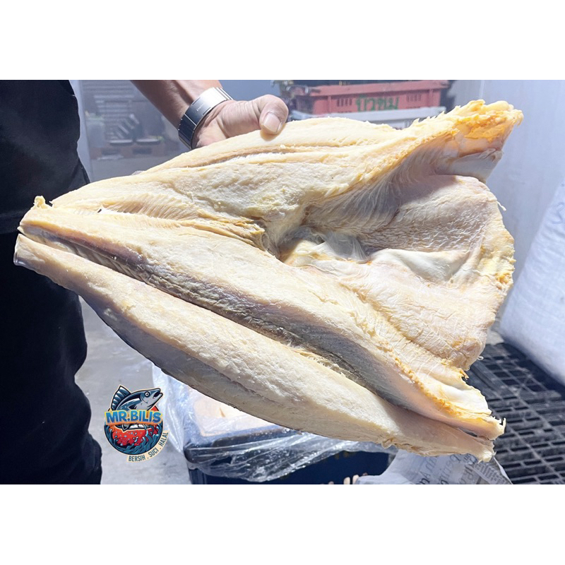 Ikan Bekok Mayong Saiz Besar AA | Shopee Malaysia