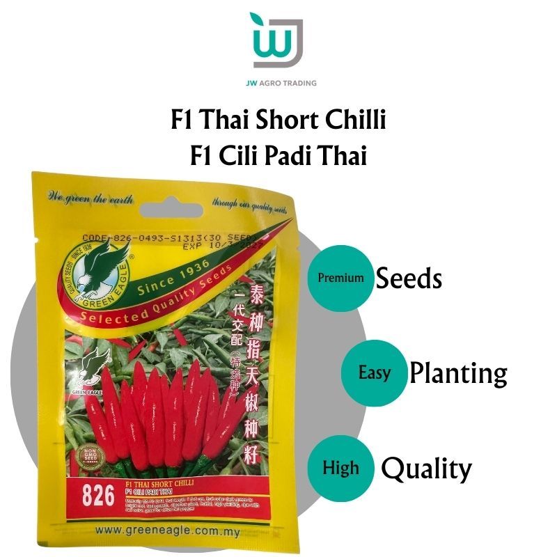 [826] F1 Hybrid Thai Short Chili Seeds | Benih F1 Hibrid Cili Padi Thai ...