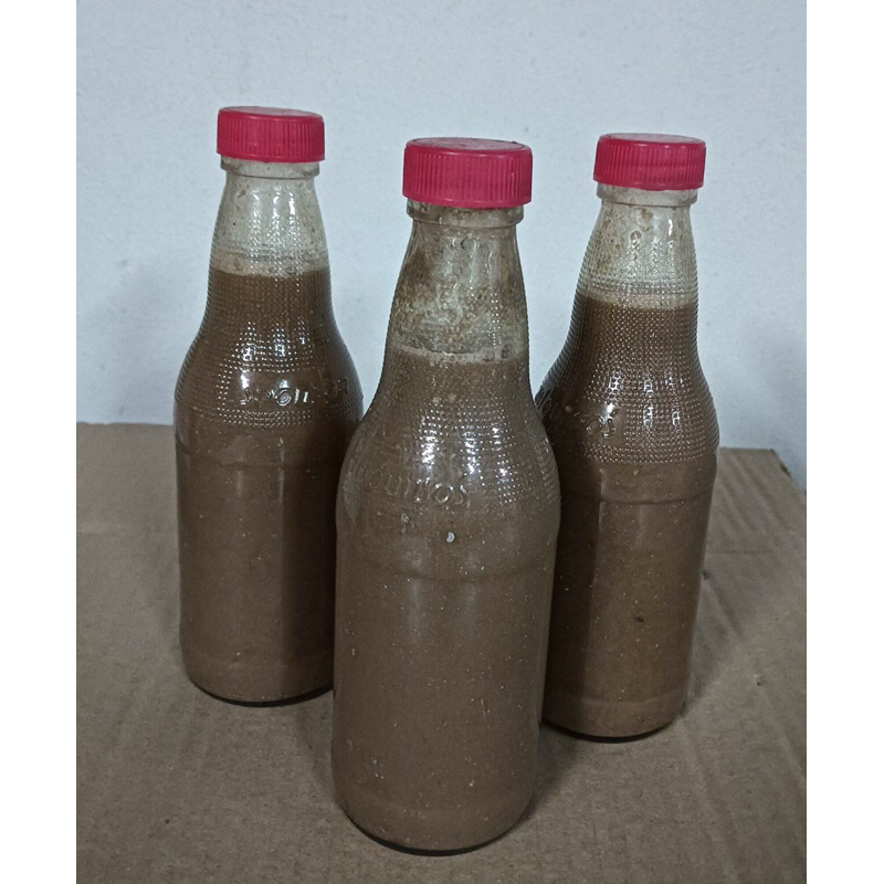 BUDU TEMPAYAN ASLI KELANTAN | BUDU MASIN PENGKALAN BATU PASIR MAS ...