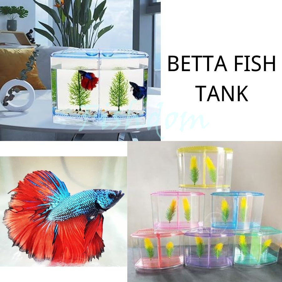 FISHDOM Colourful Betta House Double Tank观赏鱼斗鱼盒塑料双缸 | Shopee Malaysia