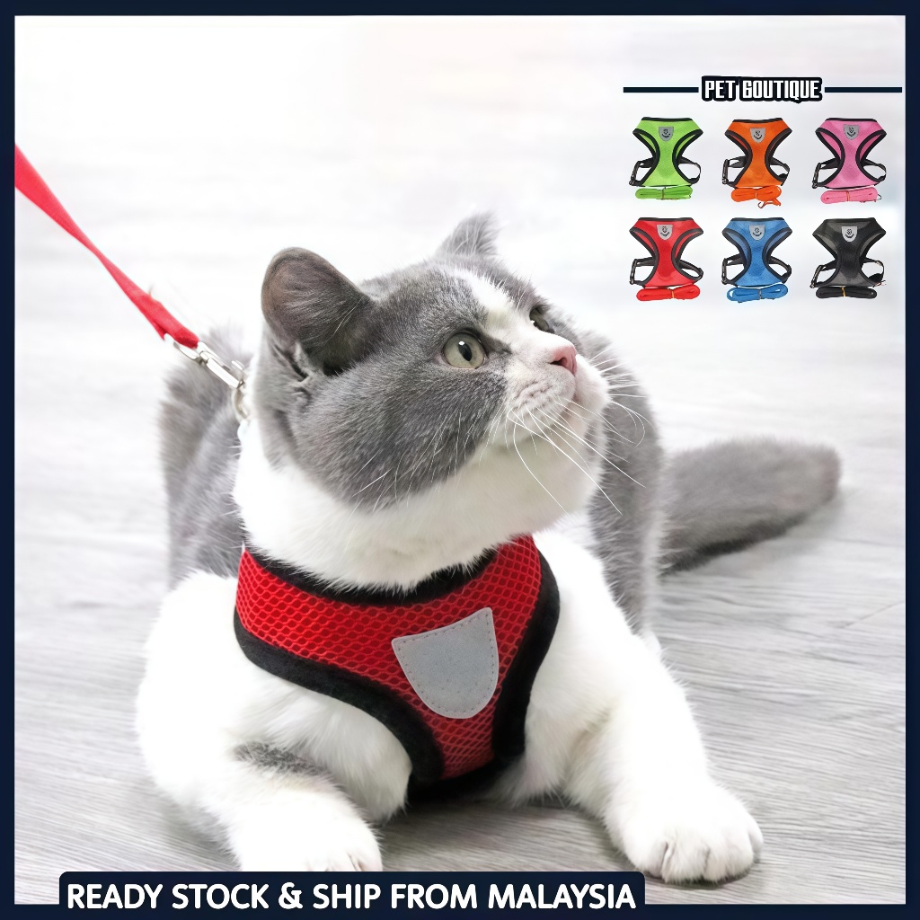 Pet Harness Tali Kucing Berjalan Murah Lead Cat Dog Rope Adjustable ...