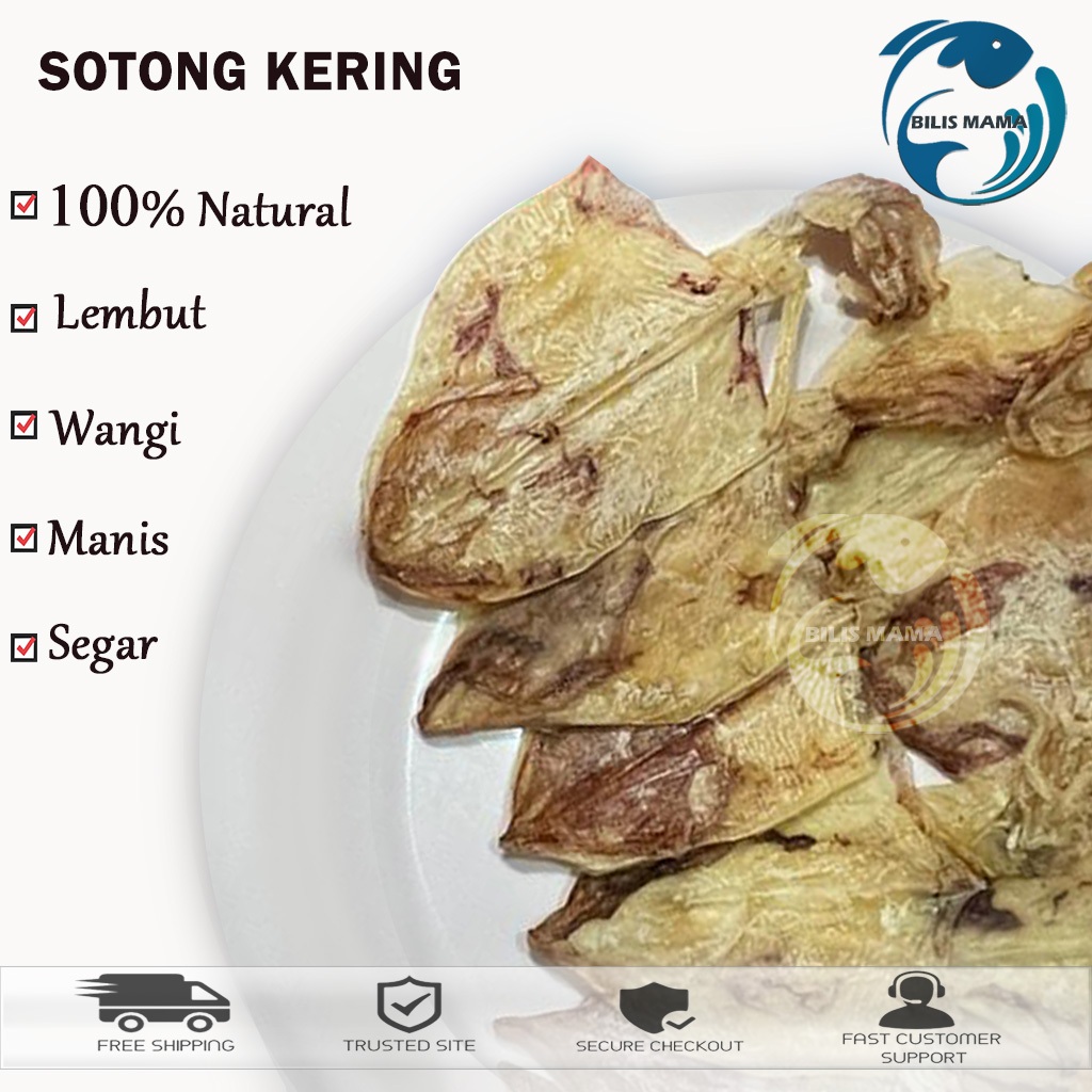 100g Sotong Kering Terengganu / SOTONG KERING BESAR Dried Squid ...