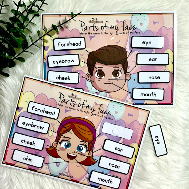 Parts of my Face - A4 Velcro Activity | Shopee Malaysia