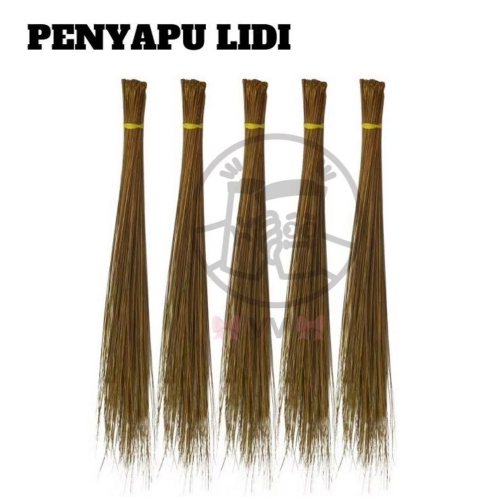 🎀VV🎀 Lidi Broom | Coconut Stick Broom | Plastic Head Coconut Leaf Broom ...