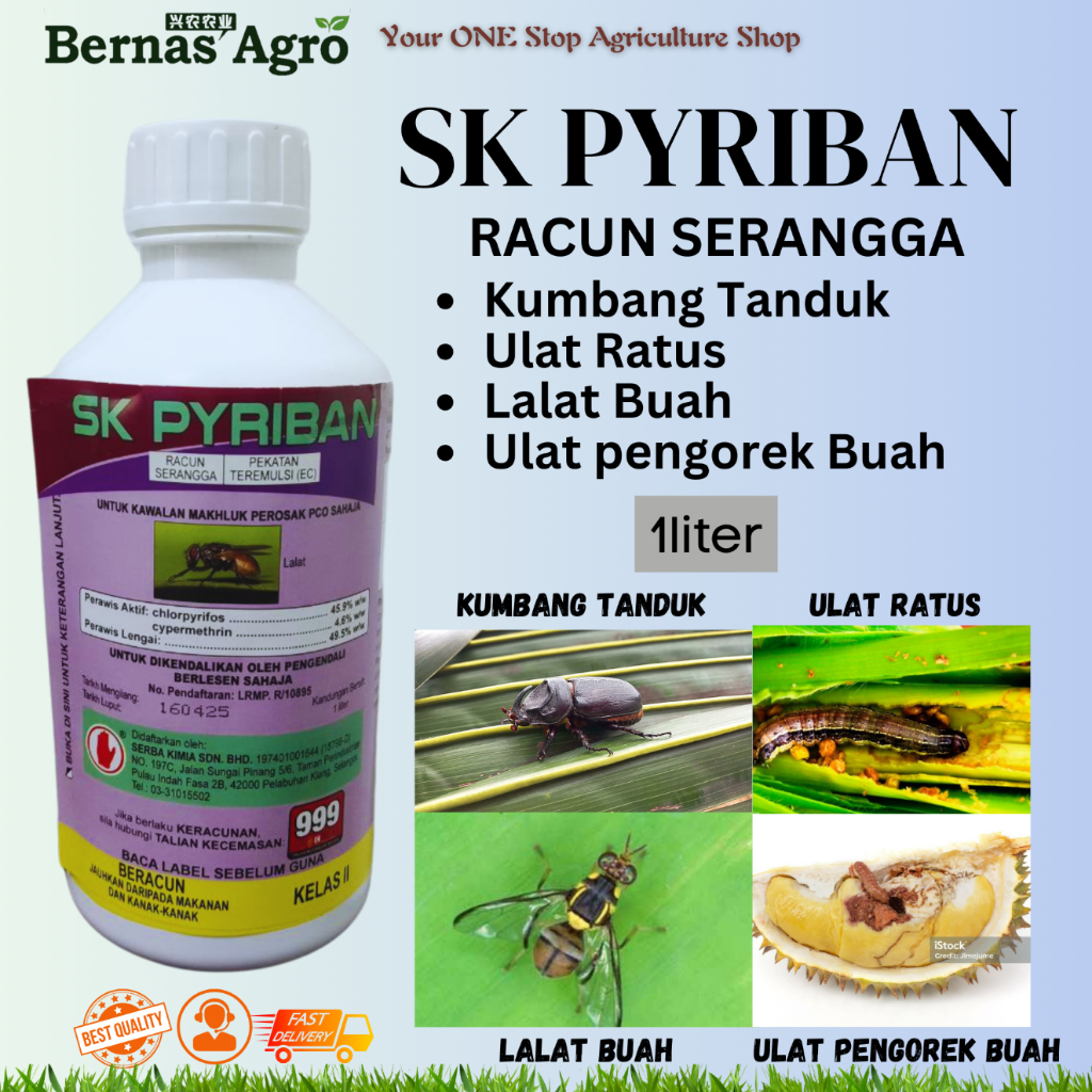SK PYRIBAN Bright 505 Racun Serangga 505 Racun Ulat Pengorek Batang ...