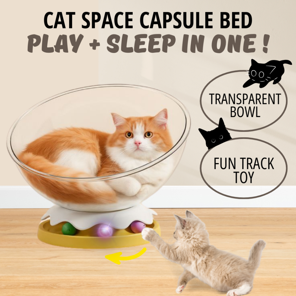 Transparrent Space Capsule Cat Bed Cat Nest Bed with Track Balls Cat ...