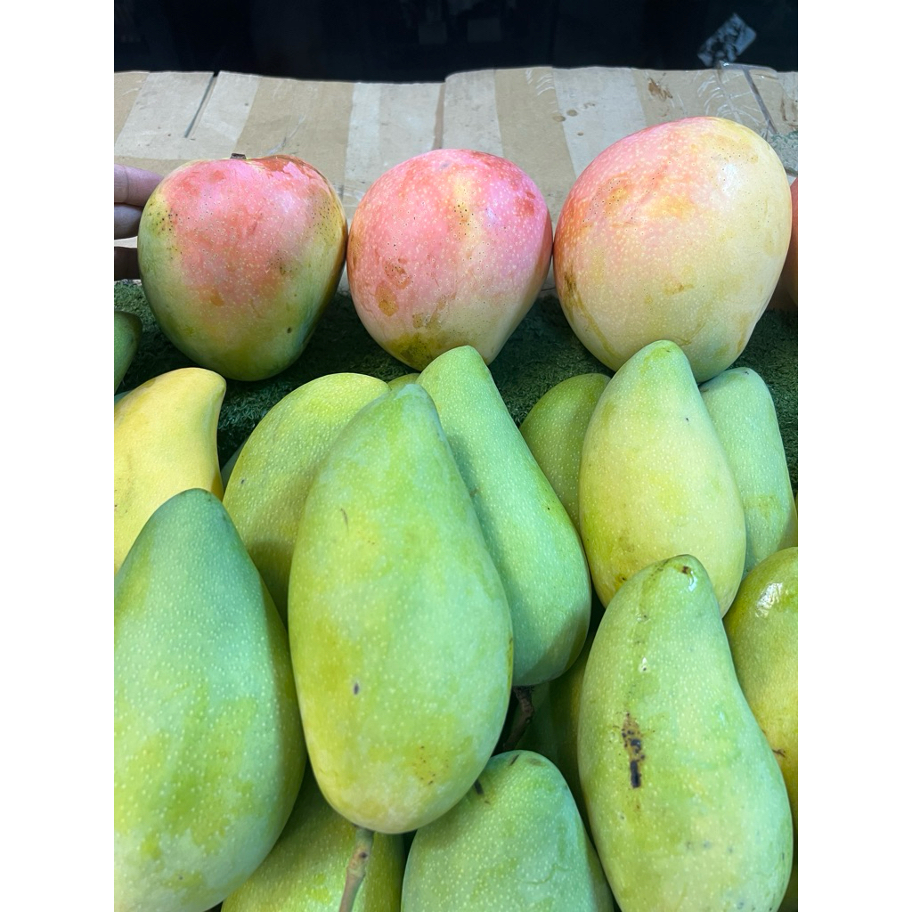 Mangga Apple Mix Mangga Champion Segar Dan Cantik | Shopee Malaysia