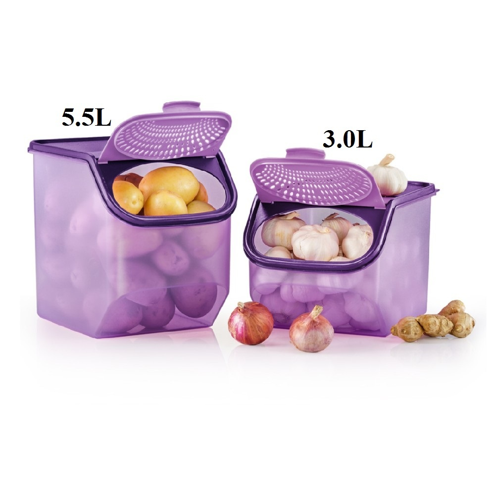 Tupperware Garlic N All Keeper (3L) Option available (Garlic keeper ...