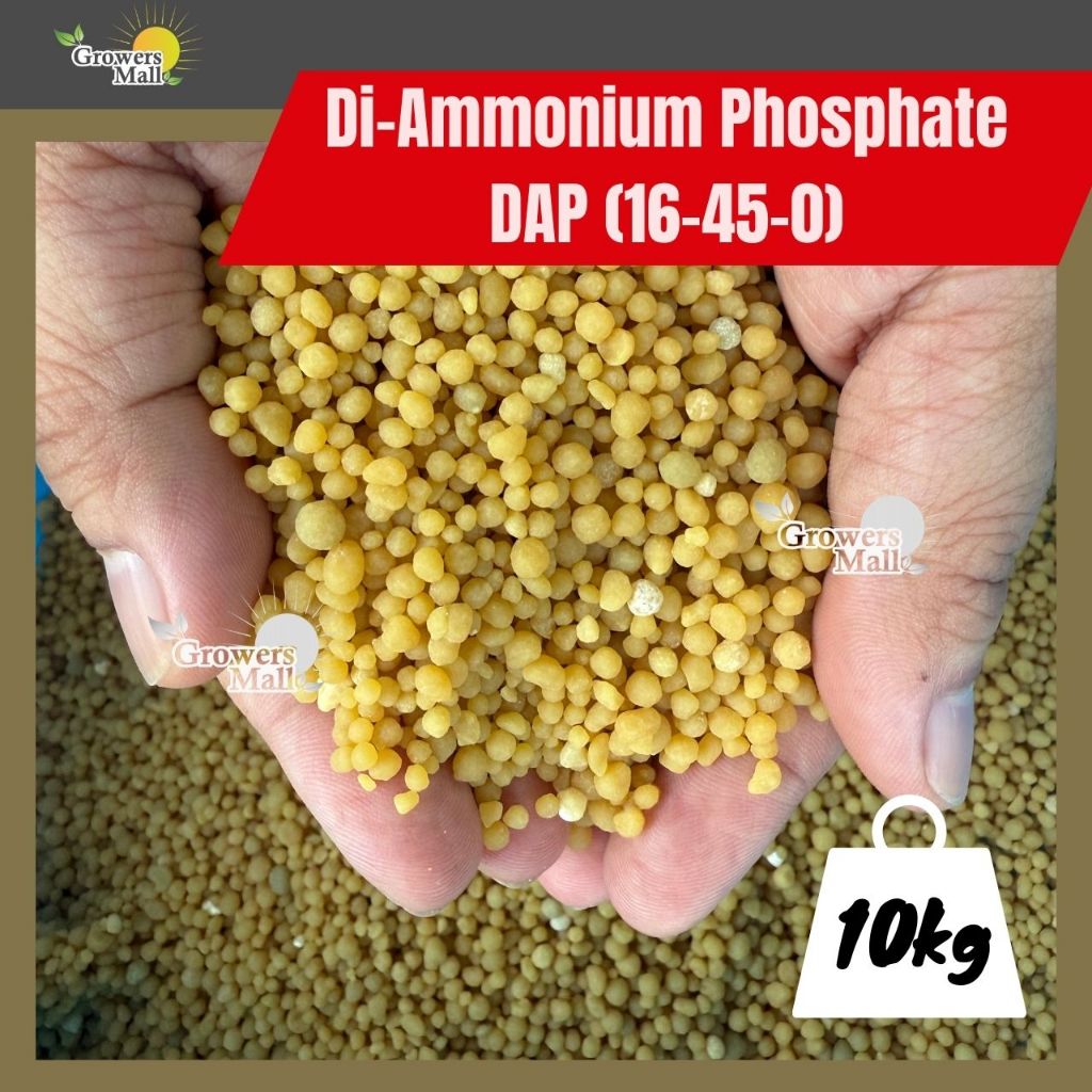 [10kg] ANPIKA BAJA DIAMMONIUM PHOSPHATE (DAP) 16-45 : CEPAT TUMBESARAN ...