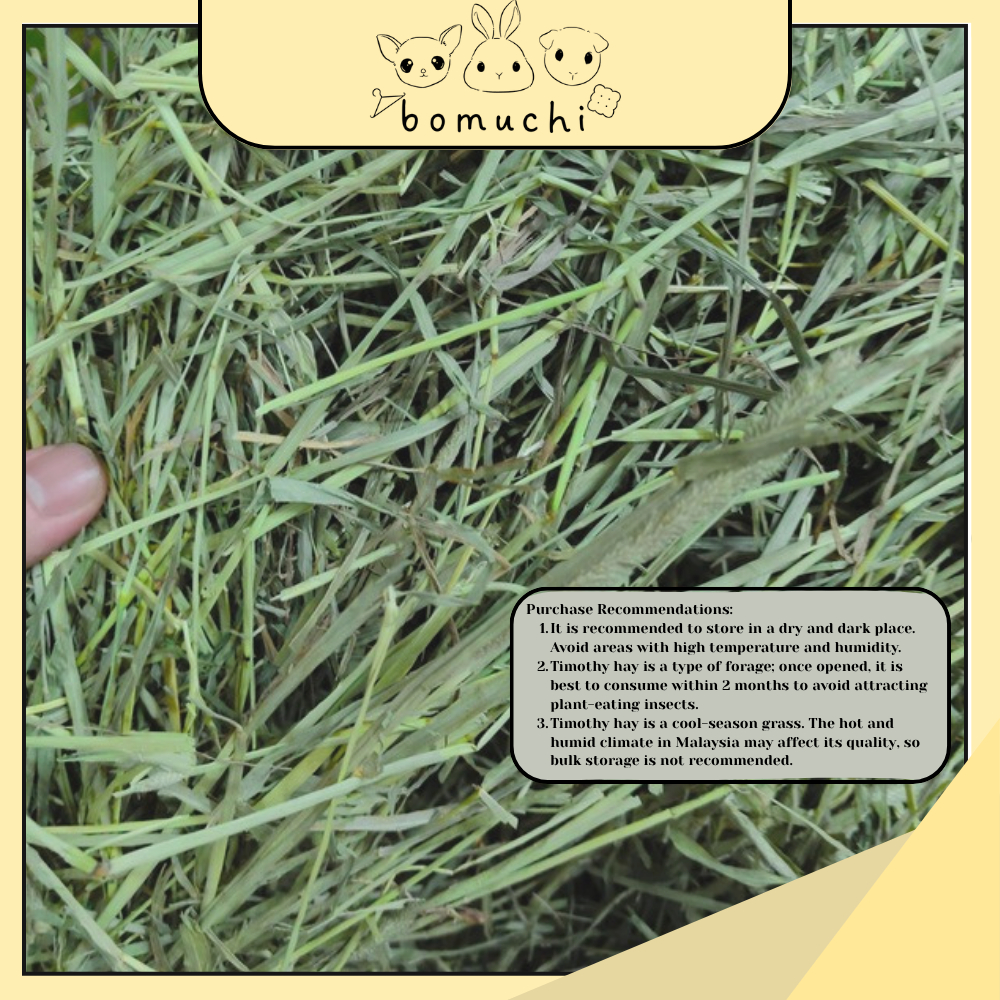 Ready Stock Timothy Hays 1kg Bomuchi Timothy Hay Rabbit Guinea Pig ...