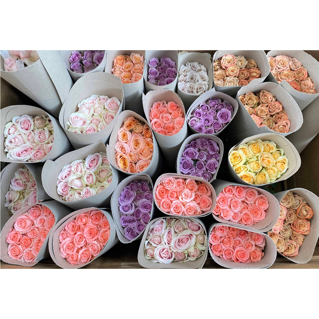 【Fresh Cut Roses/鲜切玫瑰】Fresh and Elegant Roses from Cameron Highlands ...