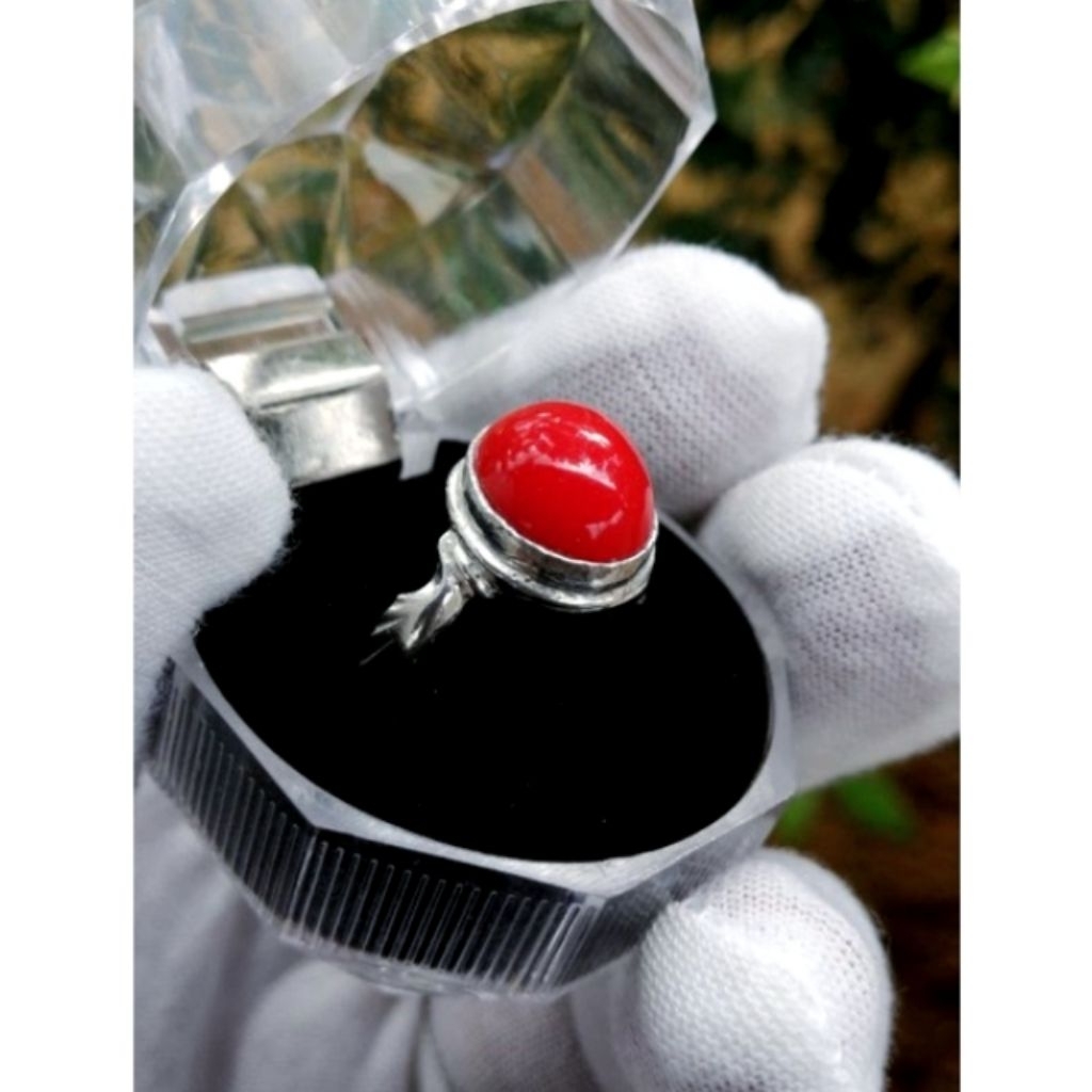 Permata Marjan Merah India Asli Ring Silver 925 Kendi | Shopee Malaysia