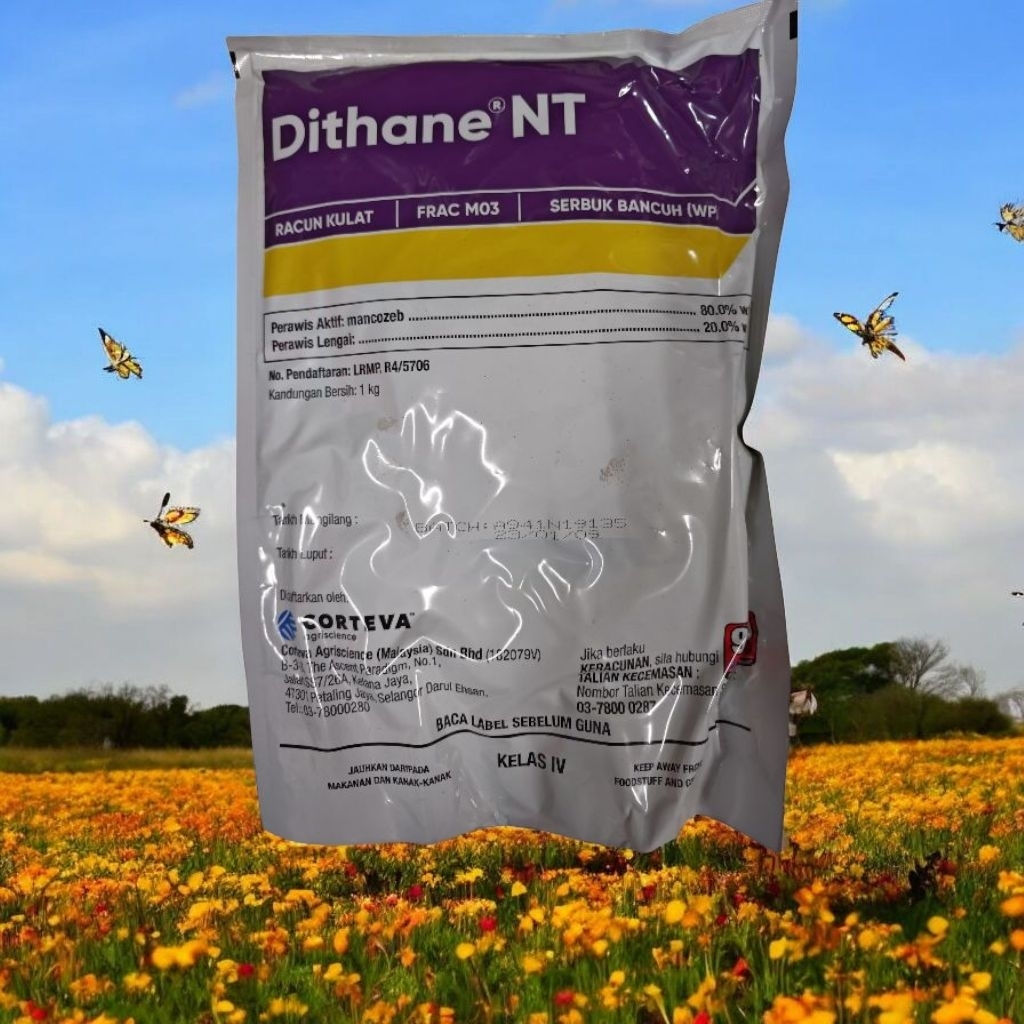 DITHANE NT 80% WP 1KG | Shopee Malaysia