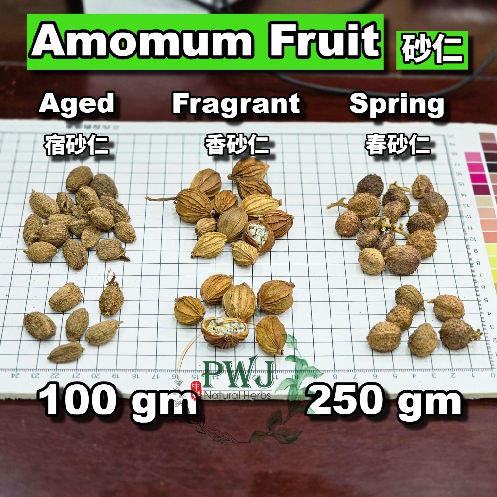 Fructus Amomi (Aged, Fragrant, Spring) 春砂仁, 香砂仁, 宿砂仁 (100gm & 250gm ...