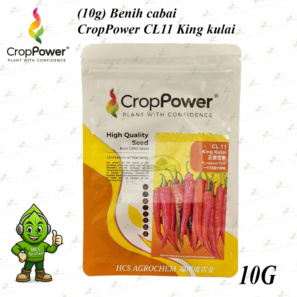 (+-10g) Benih cili/cabai kulai F1 Hybrid Chili CL11 Crop Power 大辣椒、王者古來 ...