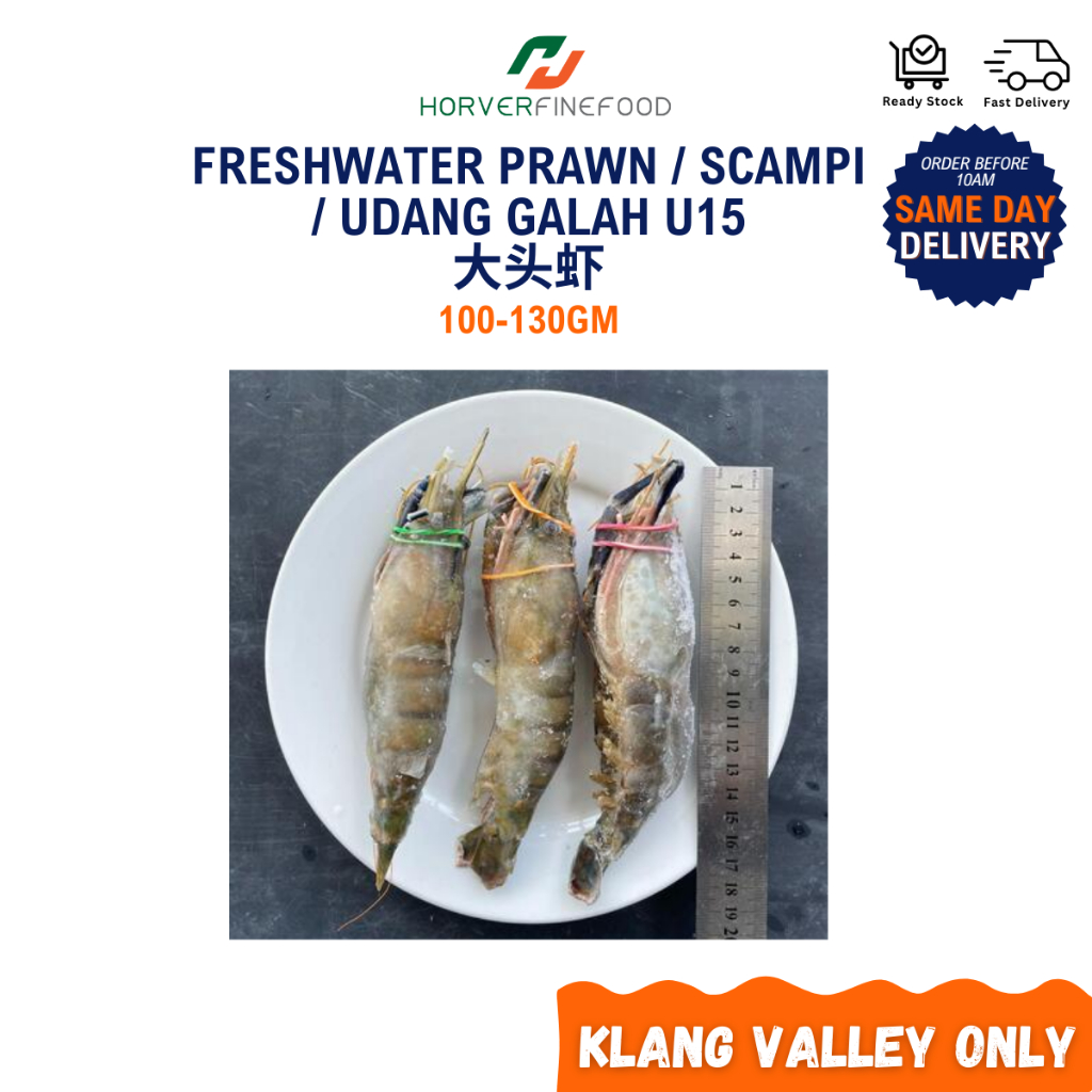 [Frozen] Freshwater Prawn / Scampi / Udang Galah U15 100-130GM (1PC ...