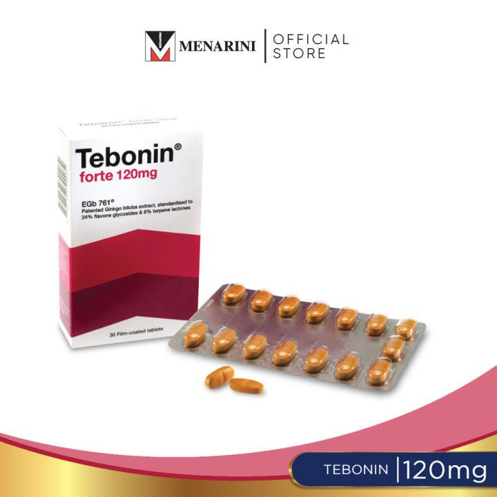 Tebonin Forte with Ginkgo Biloba 120mg 2x15s Blood Circulation ...