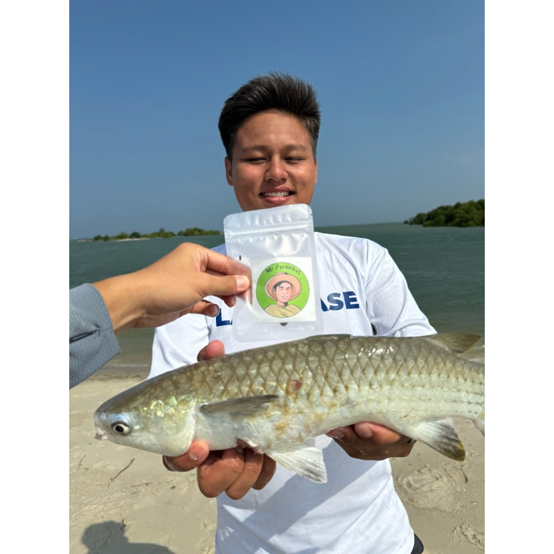 Rengitfisherman - Mr Perambut Pelampung Tamok,Ikan Susu,Ikan Loban ...