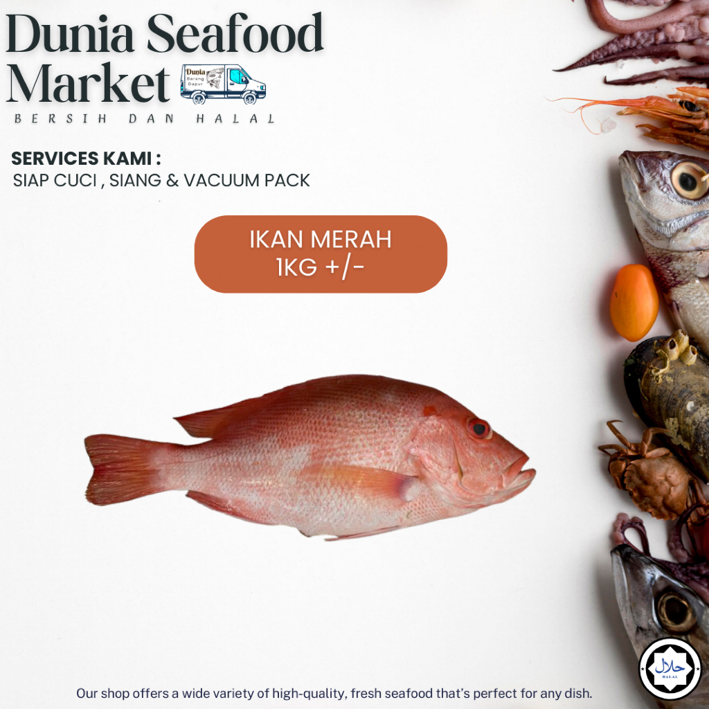 [SIAP SIANG] IKAN MERAH 1 EKOR 1KG +/- {DELIVERY SELURUH SEMENANJUNG ...