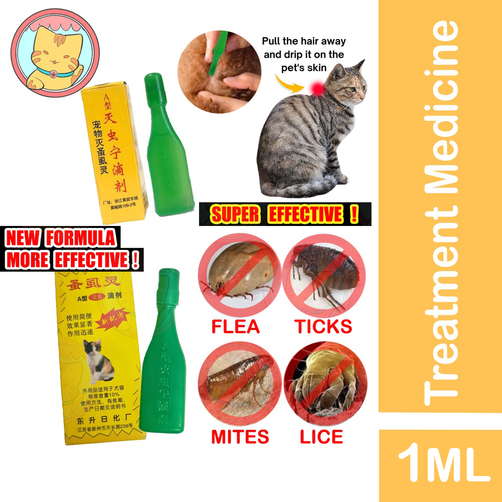 Flea And Tick Treatment medicine Kucing Kutu Ubat Cat Tick Treatment ...