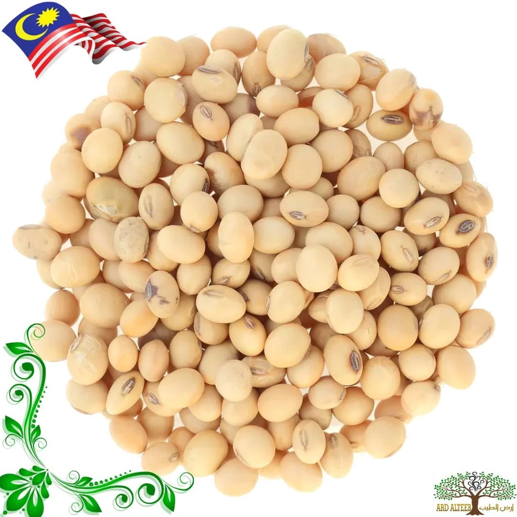 Kacang Soya / Soybean | Shopee Malaysia