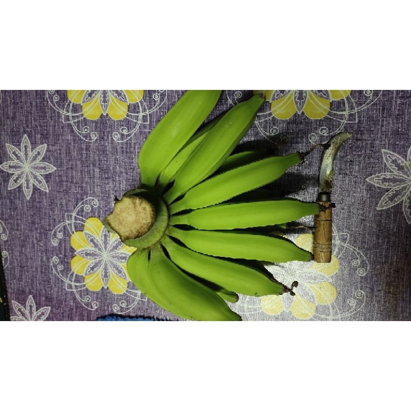 Pisang Nangka sesikat 1kg + hingga 2kg | Shopee Malaysia