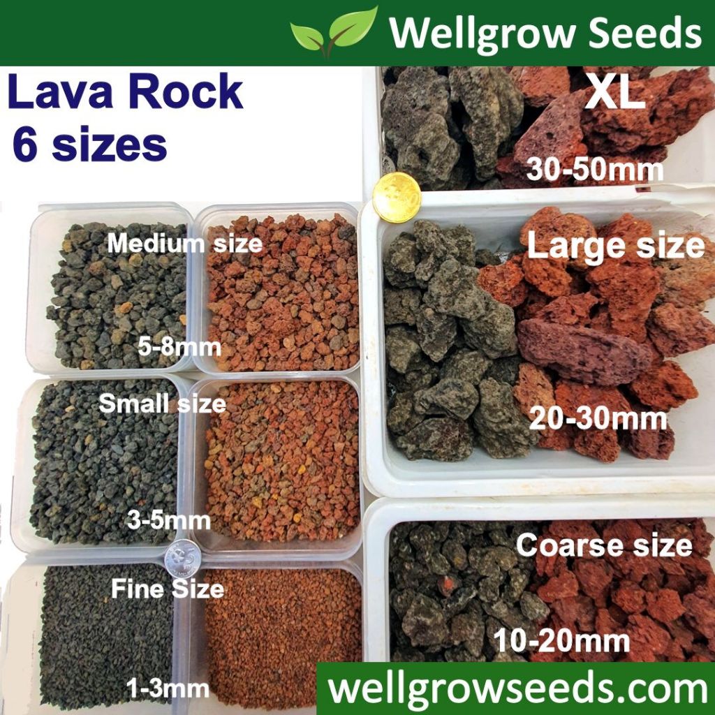 4L Lava Rock Various Sizes (Red/black) 火山石(细) Pasir Malang kaktus ...
