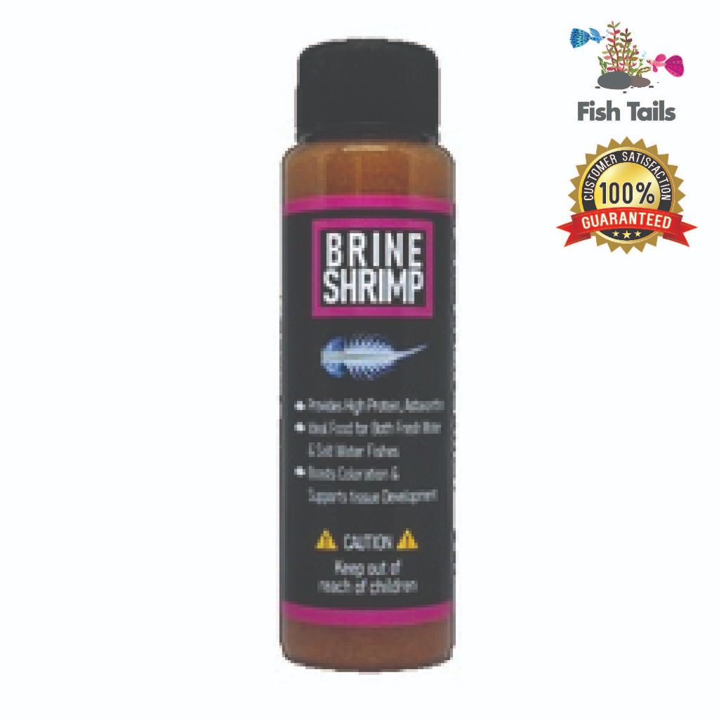 [LOCAL SELLER] BRINE SHRIMP - REEFSERVE (Fish Food/Fish/Food/Preserved ...