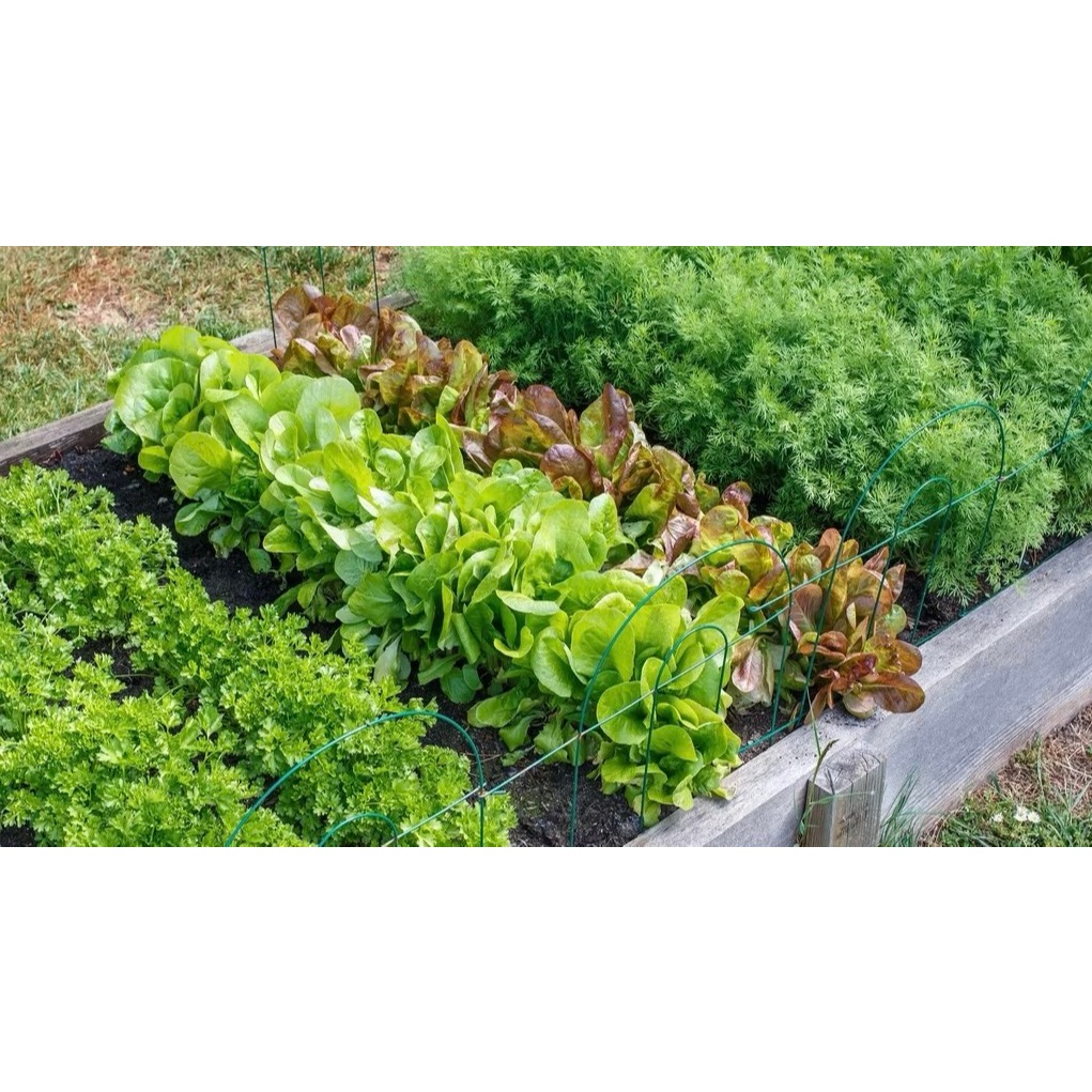 3 paket Baja Pokok / Baja Daun / Baja Sayur / Baja Subur 15-15-15 NPK ...