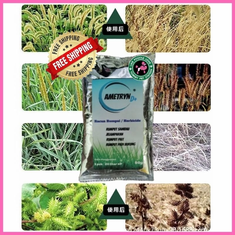 Ametryn D+ Rumput Sambau Degil Lebih Power dari Monex AMFINE Symbol ...