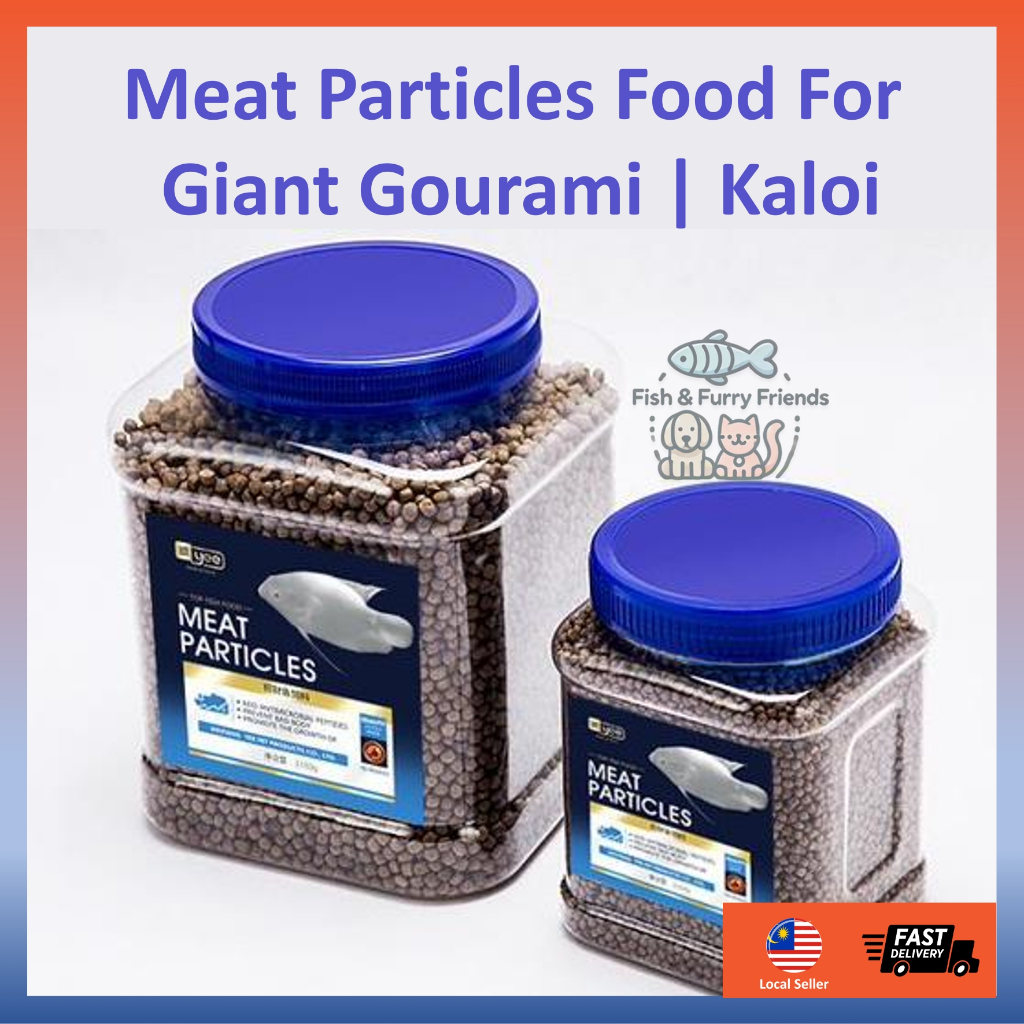 🔥Ready Stock🔥Yee Giant Gourami Kaloi Fish Meat Particle Granule Food ...