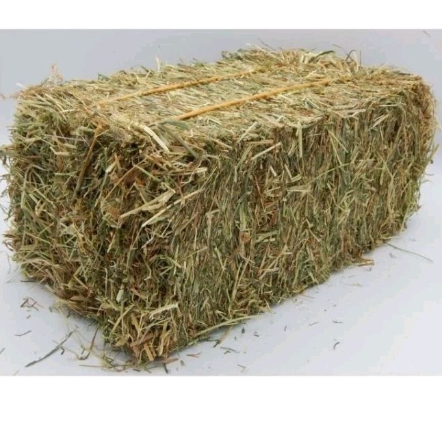 Jerami Padi Murah / paddy straw / paddy hay / Deco Hay / Archery Target ...