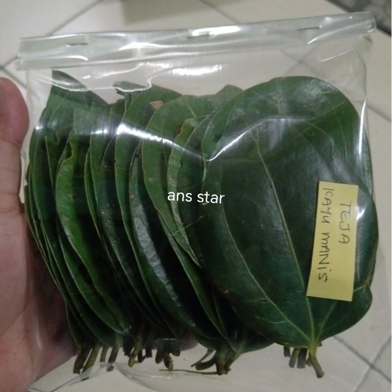 Daun Teja Lendir / Teja Kayu Manis | Shopee Malaysia